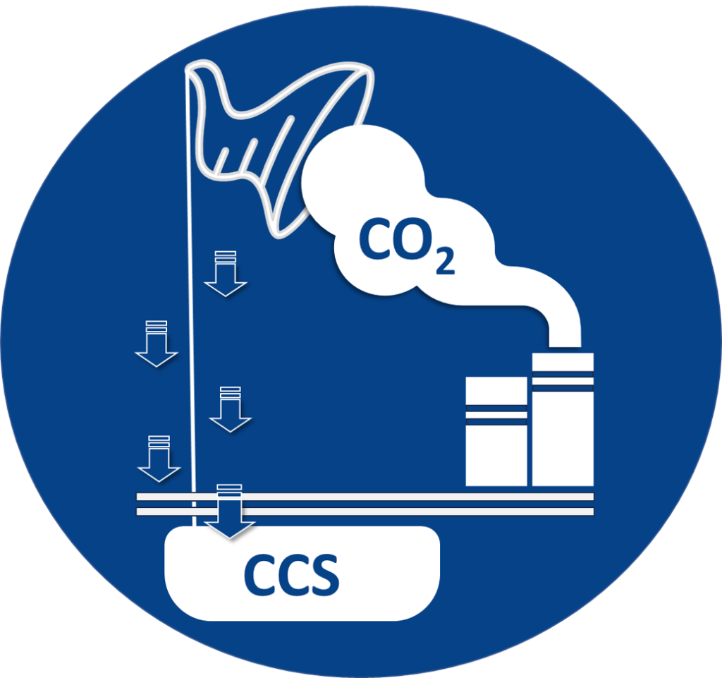 Overcoming Subsurface Data Challenges in CCS - Petrosys