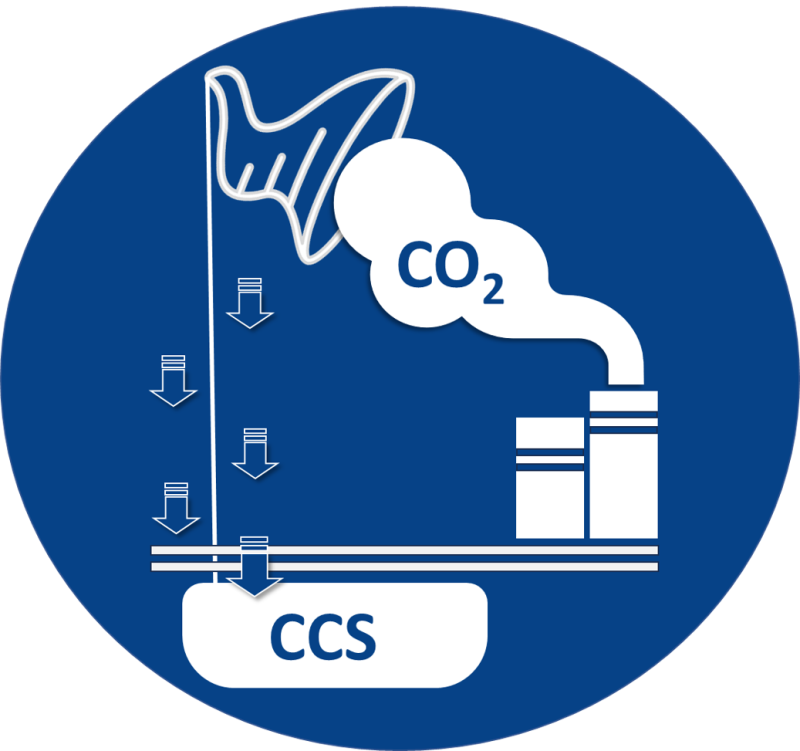 Overcoming Subsurface Data Challenges in CCS - Petrosys
