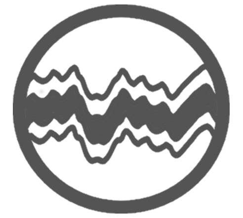 X Section – Advanced Visualisation - Petrosys