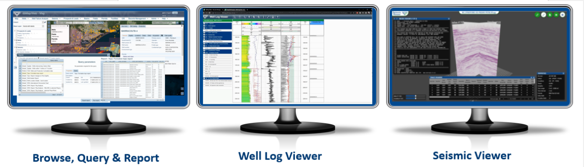 Overcoming Subsurface Data Challenges in CCS - Petrosys