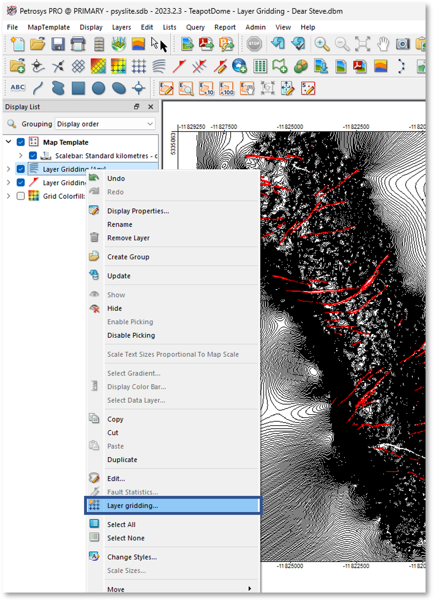 Dear Steve, Can I grid contours directly from Mapping? - Petrosys
