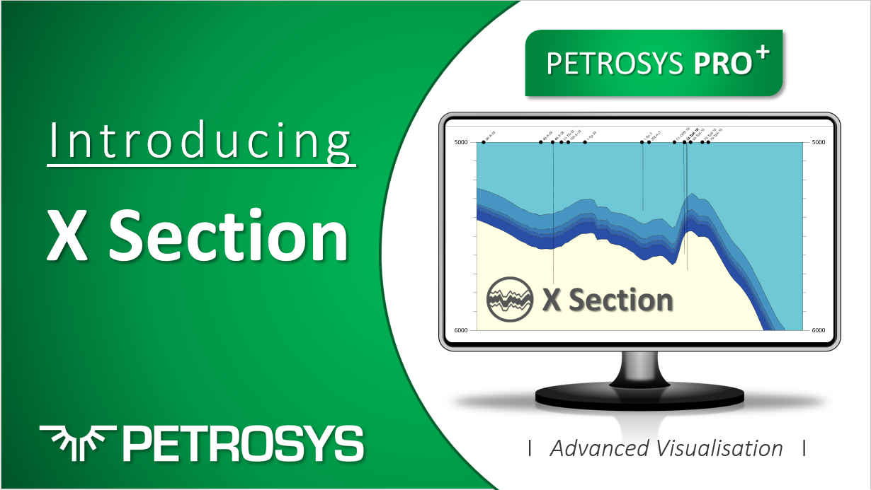 X Section – Advanced Visualisation - Petrosys